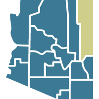 Arizona Fee Waiver and Deferral Forms by County Jurisdiction